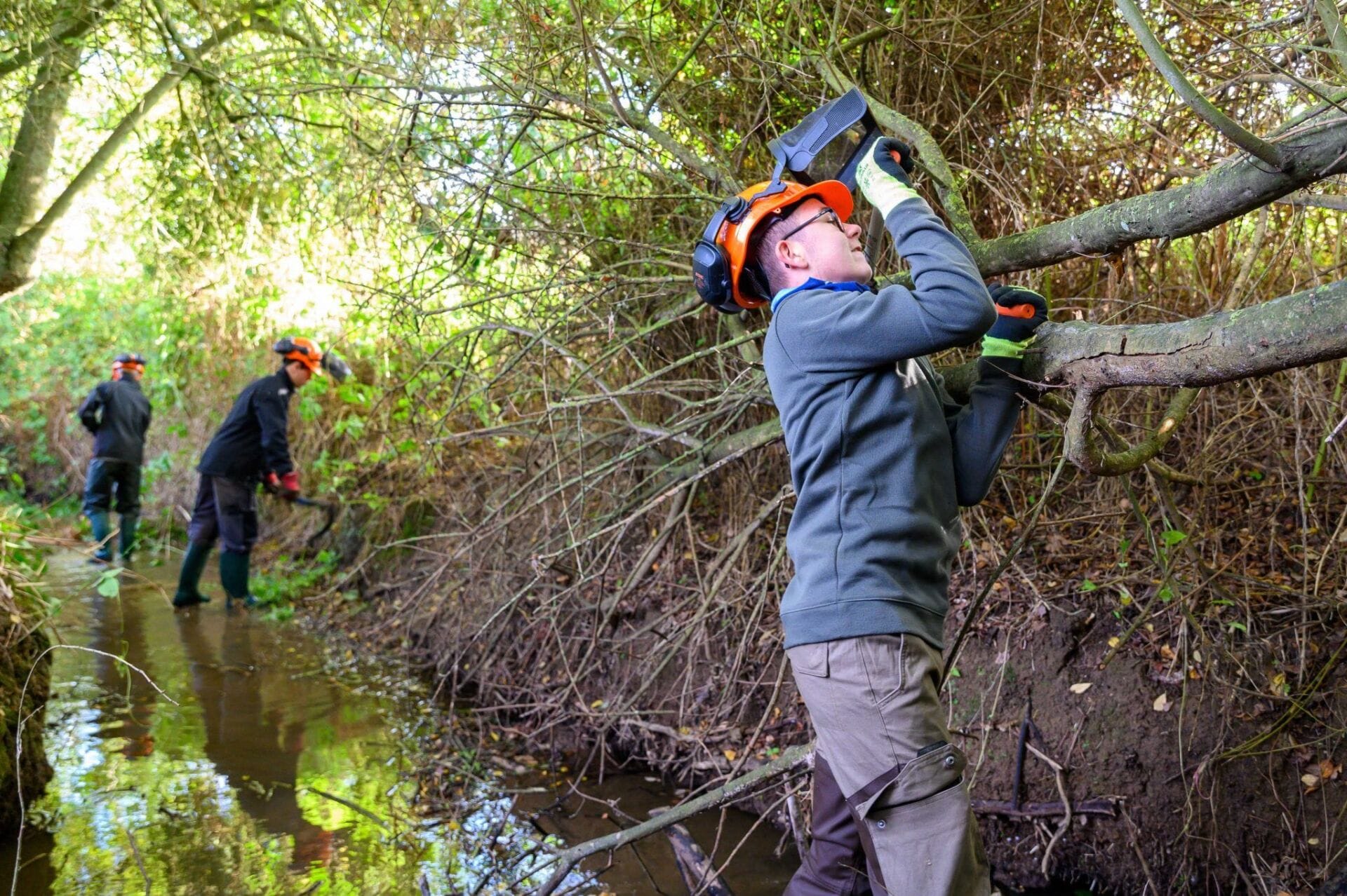 La Ville Davy, lycée professionnel, Bac Pro GMNF